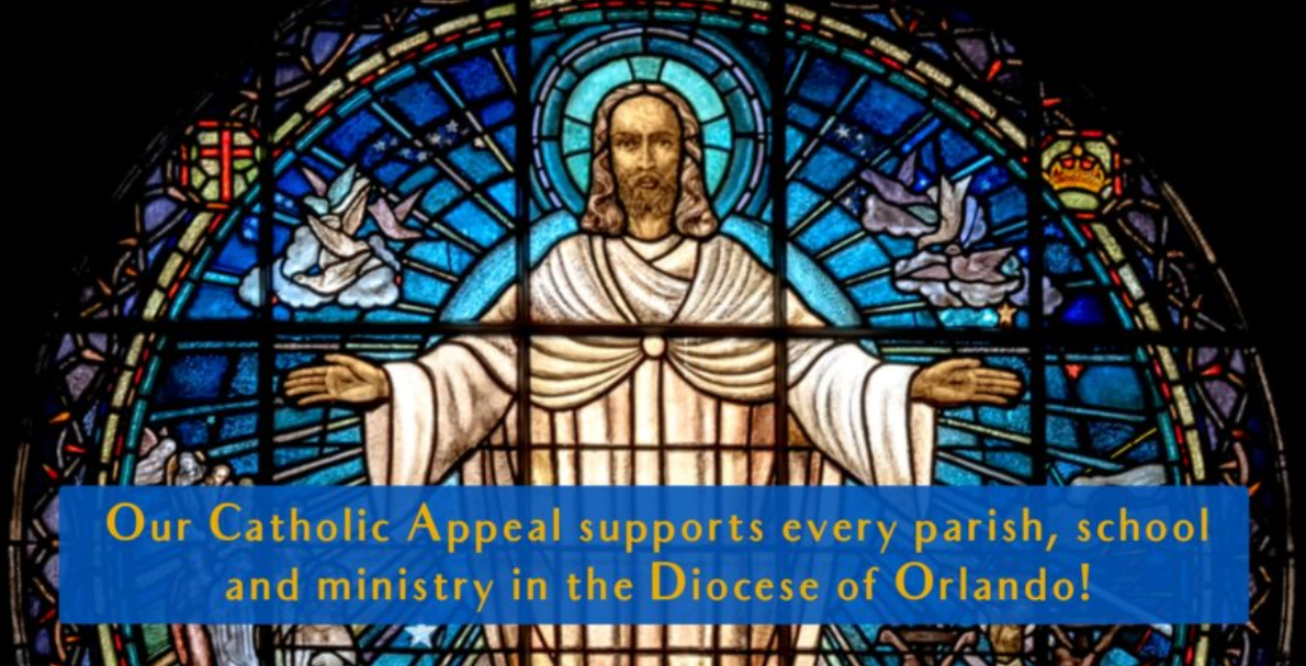 Our Catholic Appeal | Annunciation Catholic Church